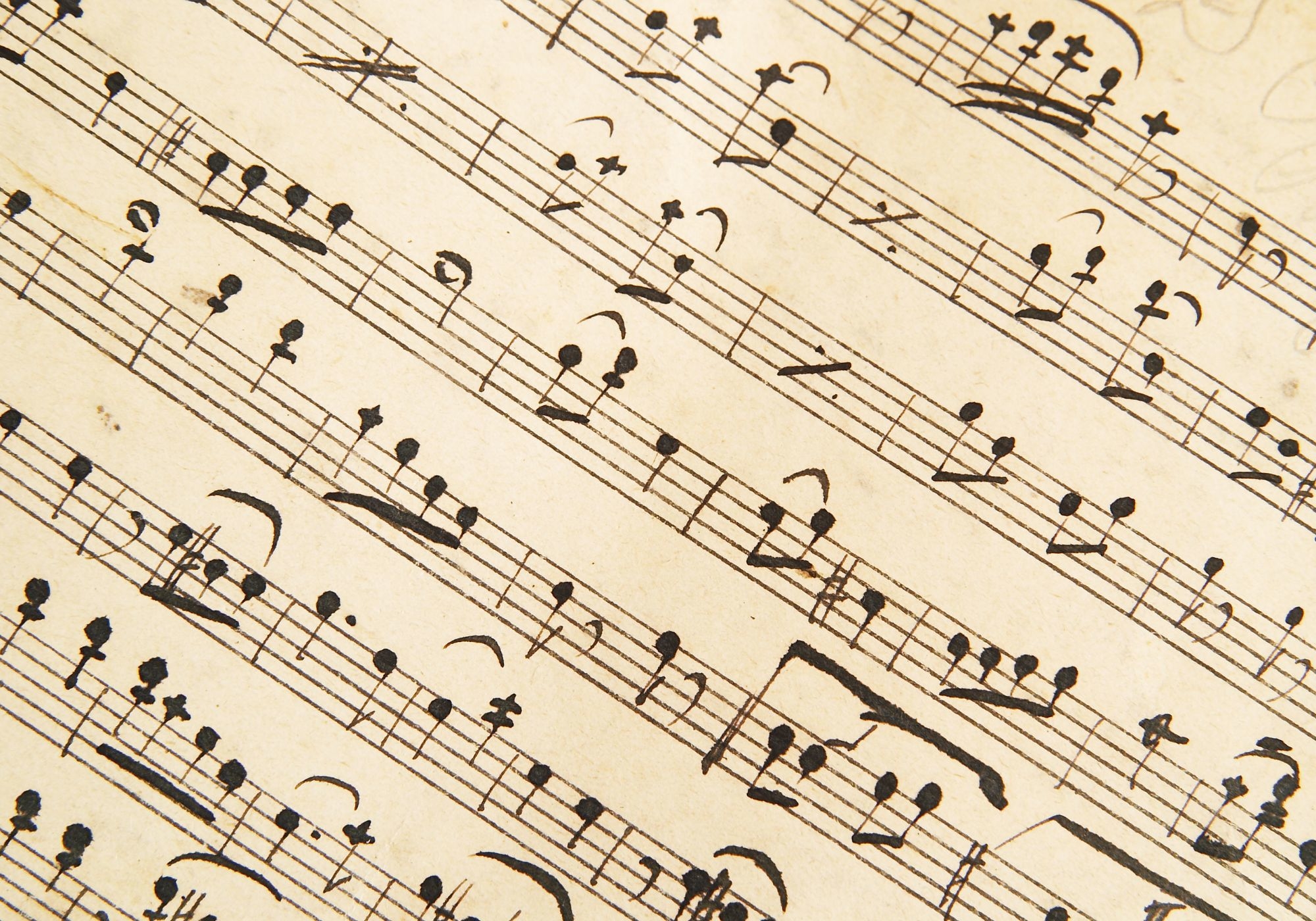 AQU Catalunya col·labora amb el CoNCA en l'estudi ‘La professionalització de l’alumnat titulat ...